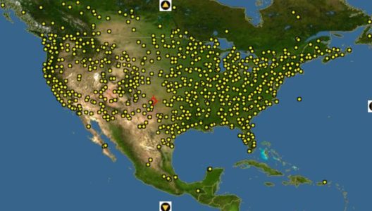 Why Are Ladybugs Important? to Humans or the Ecosystem
