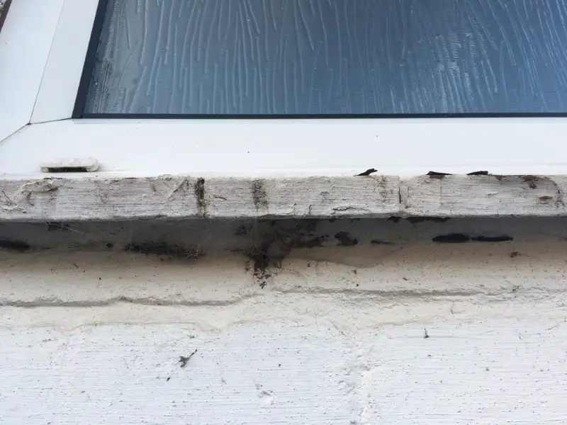 clear-debris-under-window-ledges | Ladybug Planet