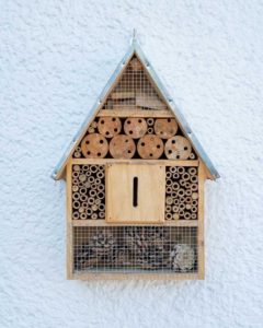 Will Ladybugs Stay in My Garden? How to Attract and Keep Them