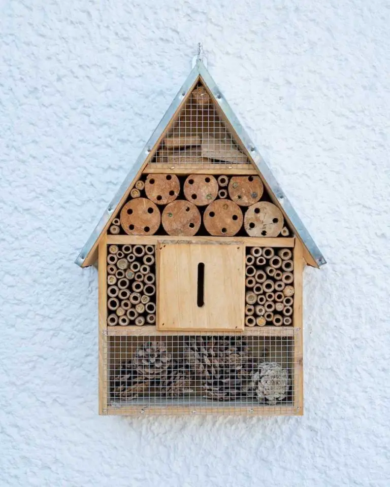 will ladybugs stay in my garden – build a ladybug house | Ladybug Planet
