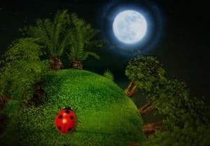 Do Ladybugs Sleep – Ladybug Planet