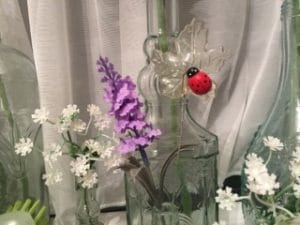 Ladybugs in My House, Dealing With an Infestation a Helpful Guide