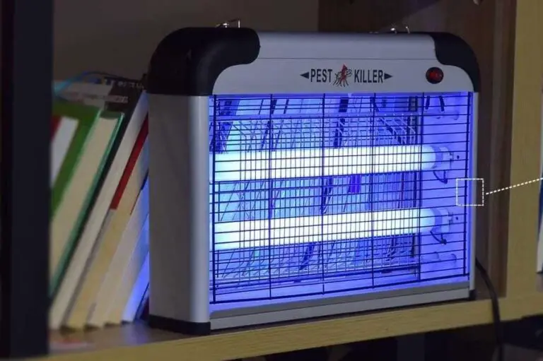 Ladybugs in My House, Dealing With an Infestation a Helpful Guide