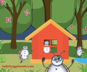 Where Do Ladybugs Live, Nest, Stay or Hang Out? Here’s Where They Go!
